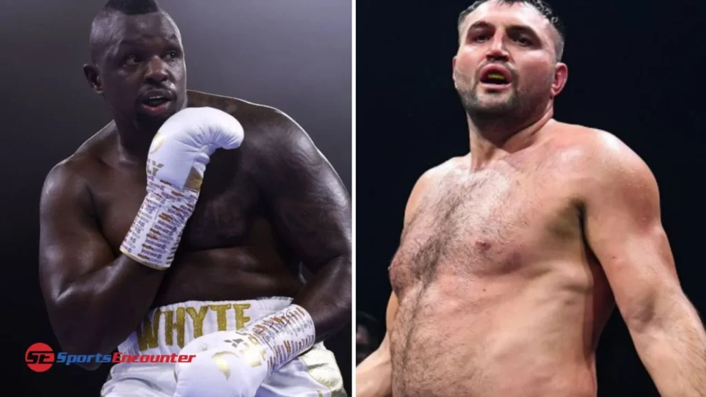 How Dillian Whyte's Knockout Win Over Christian Hammer Marks a Major ...